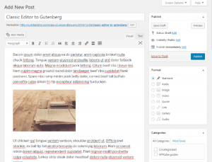 Wordpress Gutenberg Complete Tutorial | FallingBrick