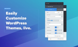 CSS Hero Review - Easy Way to Customise WordPress | FallingBrick