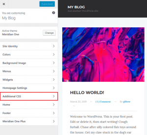 How to Add Custom CSS in WordPress (2023) | FallingBrick