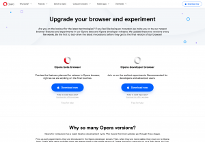 The Best Browsers for Web Developers in 2020 : FallingBrick